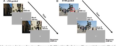 Figure 1 From Cognitive Control Network Contributions To Memory Guided Visual Attention