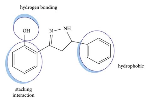 3 5 Hydroxyphenyl 5 Phenyl 2 Pyrazolines Have Hydrogen Bonding Download Scientific Diagram