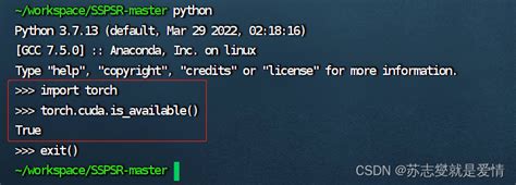 Linux Pytorch（gpu版本）后出现torchcudaisavailable返回false，解决方案来啦torch Gpu Avali Csdn博客