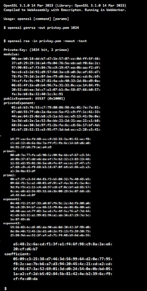 rsa public key format baeldung on computer science
