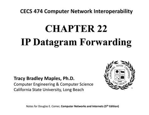 Ip Datagram Structure Pdf