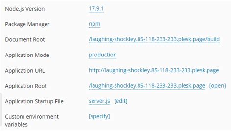 Building And Running Nextjs Apps On Plesk