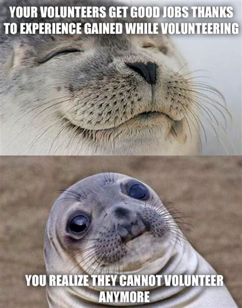 I Volunteer Meme
