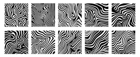 Premium Vector Collection Of Abstract Modern Art Background With Black Distorted Lines