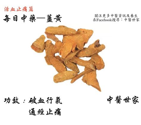 薑黃 中藥中醫道