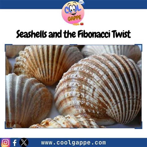 Discover The Magic Of Fibonacci Sequence In Nature