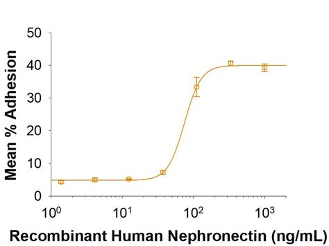Nephronectin Products Randd Systems