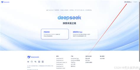 Java接入deepseek的两种方式用java 对接deepseek本地模型的方法 Csdn博客