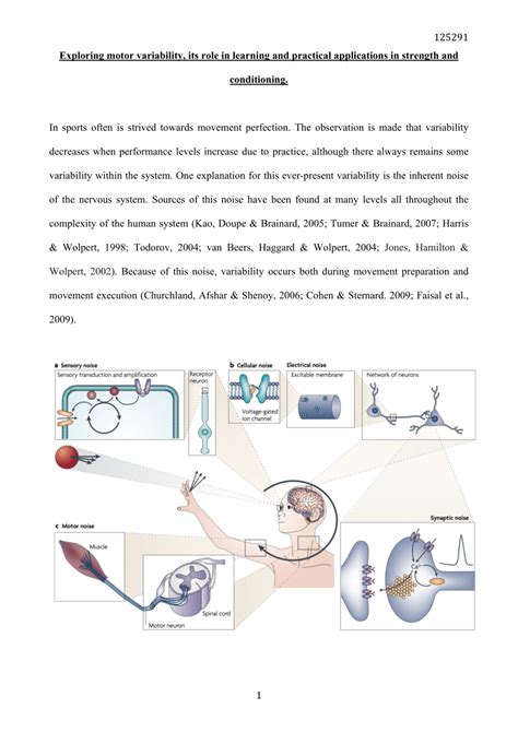 Pdf Exploring Motor Variability Its Role In Learning And Practical Applications In Strength