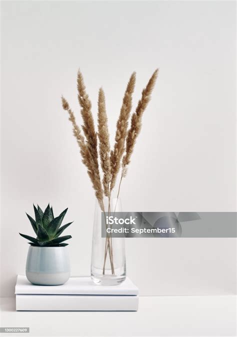 말린 꽃과 흰색 배경에 집식물이있는 투명한 화병 실내 장식으로 꾸며진 친환경 소재 공간을 복사하고 모의합니다 0명에 대한 스톡 사진 및 기타 이미지 Istock