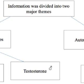 Stratification Of Articles According To The Major Themes Sex Download Scientific Diagram