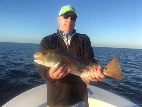 October 2017 Fishing Report And November Forecast Sea Hag Marina And