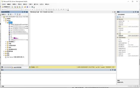 Sql Server 数据库之sql Server 数据库的安全设置sql Server Bulkadmin Csdn博客