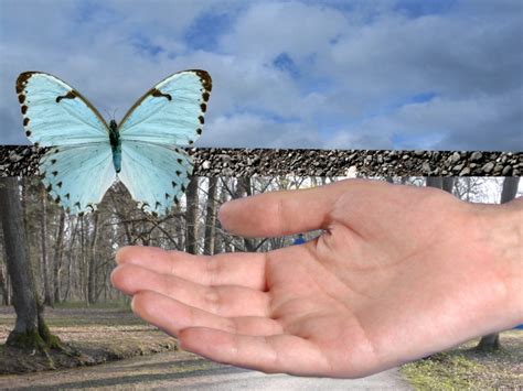 Exercise 8 Adjustment Layers Kayla Leiva