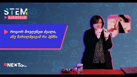 როგორ მოვღუნეთ ძვალი ანუ მარილმჟავამ რა ჰქმნა ნინო ციბაძე Stem მარტივად Youtube