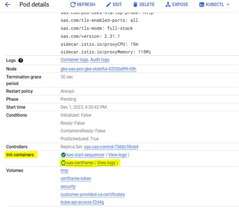 Solved Kubernetes Deployment Issues Lts 202310 Sas Support Communities