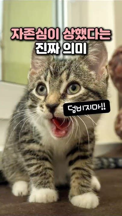 자존심이 상했다면 이렇게 생각해봐 Shorts 자존심 Youtube