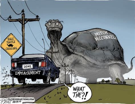 The Week In Pictures Sham Wow Mockery Travesty Edition Power Line