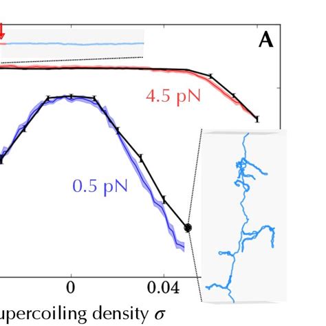 Example Of Diversity Of Structures Obtained Using A Coarse Grain Model Download Scientific