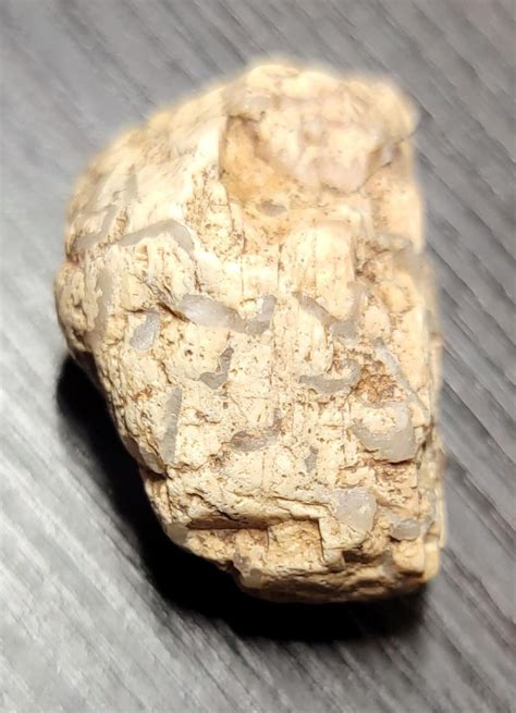 Are These Opalized Fossils R Fossilid