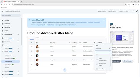 Datagrid Filters Using Numeric Text Dictionary Blazor