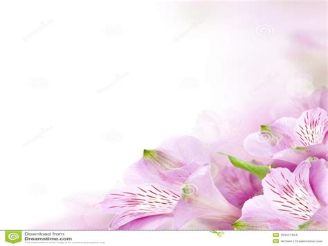 Flower Border Design Backgrounds For Powerpoint Templates Ppt Backgrounds