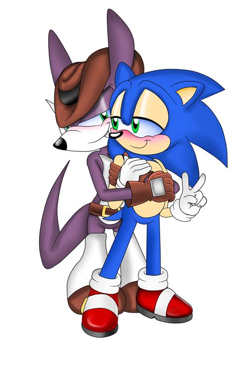 Sonic And Fang Partners By Classicsonicsatam On Deviantart