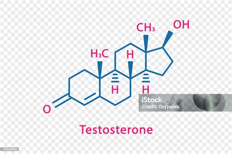 테스토스테론 화학 공식 투명한 배경에 고립 된 테스토스테론 구조 화학 공식 0명에 대한 스톡 벡터 아트 및 기타 이미지 0명 2차 도형 건강 진단 Istock