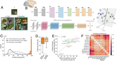 Neural Representational Geometry Underlies Few Shot Concept Learning Pnas Gary Longsine