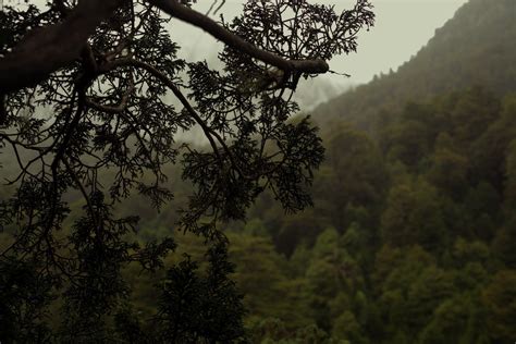 Project Pico Project Pico Added A New Photo