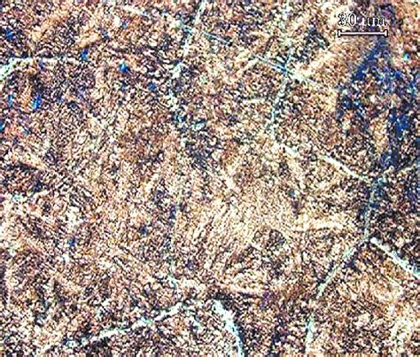 As Cast Microstructure Download Scientific Diagram