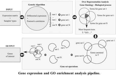Editors Choice Microarray Analysis Workflow Based On A Genetic Algorithm To Discover Potential