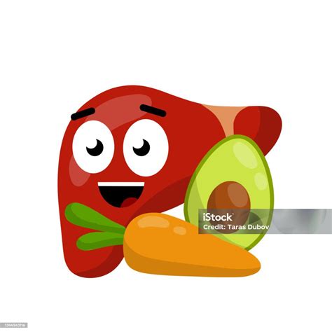 건강한 간 행복한 인간의 오르간 캐릭터의 미소와 감정 좋은 영양과 다이어트 만화 평면 일러스트 건강한 채소와 과일 당근과 아보카도 간 내부 기관에 대한 스톡 벡터 아트 및