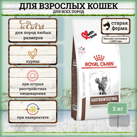 Роял Канин Диет Кэт Эдалт Гастроинтестинал Хэйрбол проблемы пищеварения из за волосяных комочков