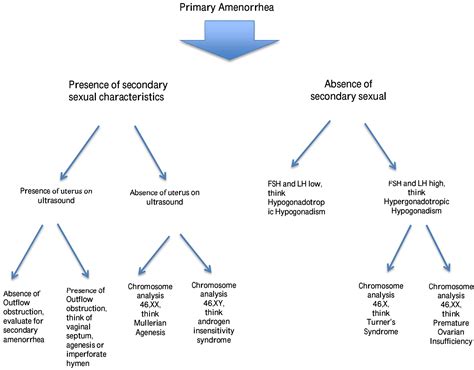 Primary Amenorrhea Algorithm