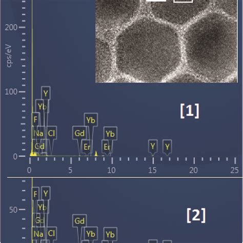 Energy Dispersive Spectrum Eds Of Nagdf4 Yb³⁺ Er³⁺ Nayf4 Core Shell Download Scientific