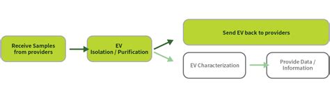 Ev Isolation 마이크로젠타스