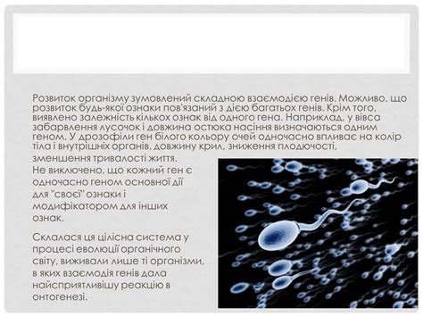 Презентація на тему Вплив генотипу і факторів зовнішнього середовища на рослинні організми
