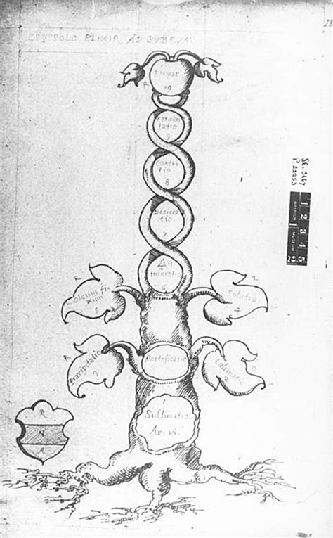 Symbols And Mythology Archives Solar Lunar
