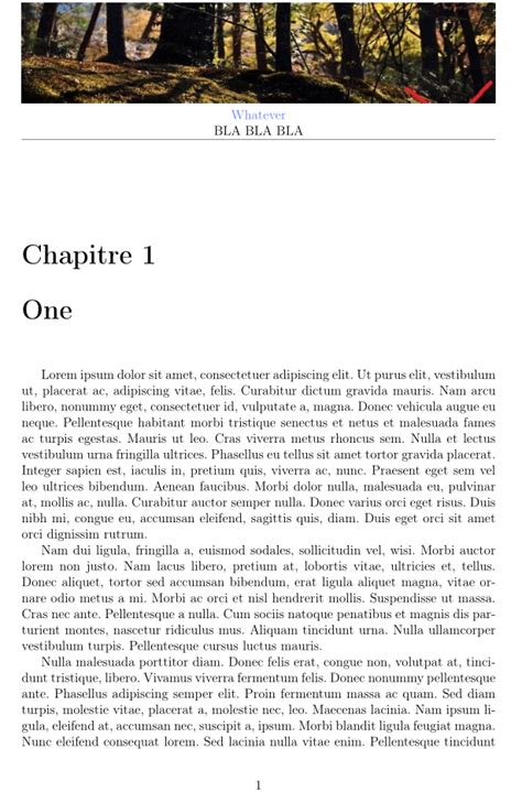 Fancyhdr Remove Chapter Name From Header TeX LaTeX Stack Exchange