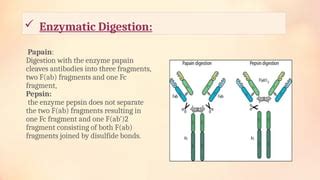 Presentation On The Biostatistics Topics Pptx