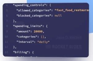 What Is Stripe How Does It Work