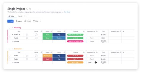 Template For Project Management And Executive Summary Creation