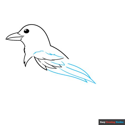 How To Draw A Magpie Really Easy Drawing Tutorial