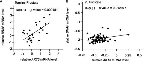 Correlation Of Gene Expression Levels Of Akt3 Braf Tsc1 And Tsc2 In Download Scientific