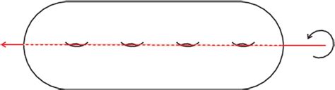 1 A Hyperelliptic Involution Of The Surface Download Scientific Diagram