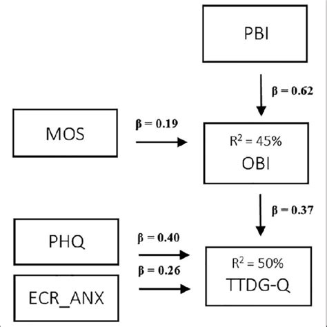 Structural Equation Modeling Sem The Relationships Between The