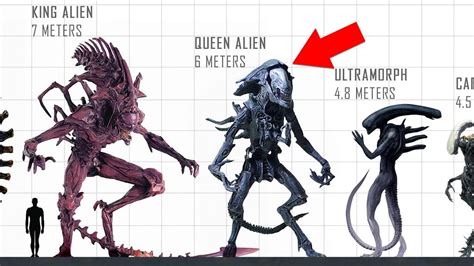 Is The Alien Xenomorph A Disney Princess
