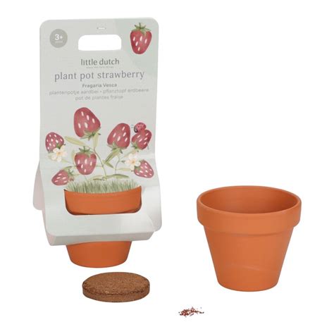 Maceta Planta Fresas Little Dutch El Mundo De Mico Tienda De Juguetes