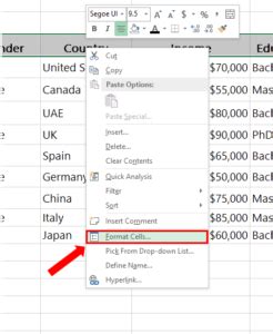 How To Apply Top And Double Bottom Border In Excel SpreadCheaters